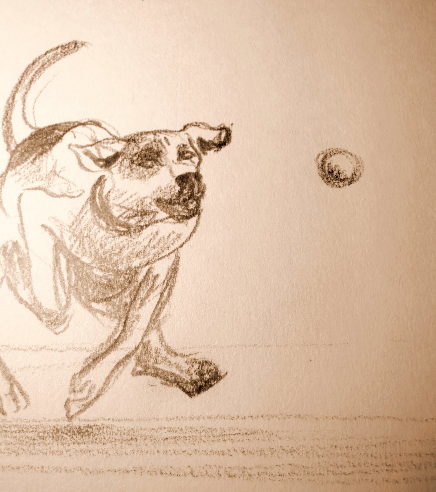 LynFeudner: Dog # 64 and Every Day in May #123 draw a ball