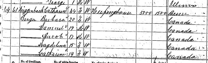 Chips and Chunks: MATRILINEAL MONDAY -- EMMA GRIMM EGLI -- researching ...