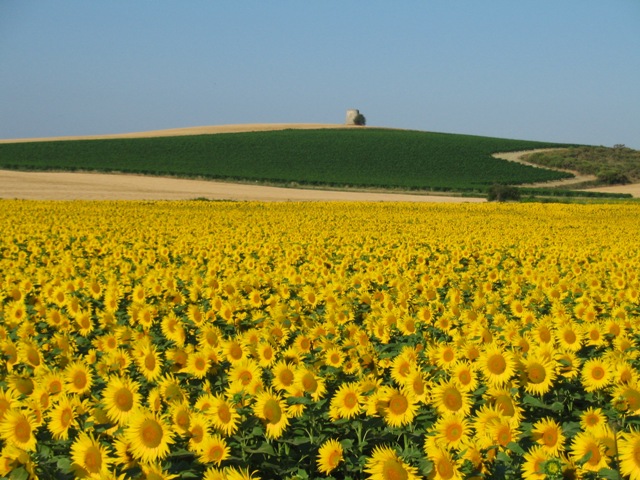 Ferran village du Razès - Aude et Pays Cathare: Ferran dans l'Aude