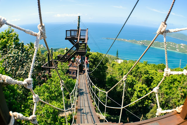 Tree Limin' Extreme: 2016's Top 10 Things to do in the USVI