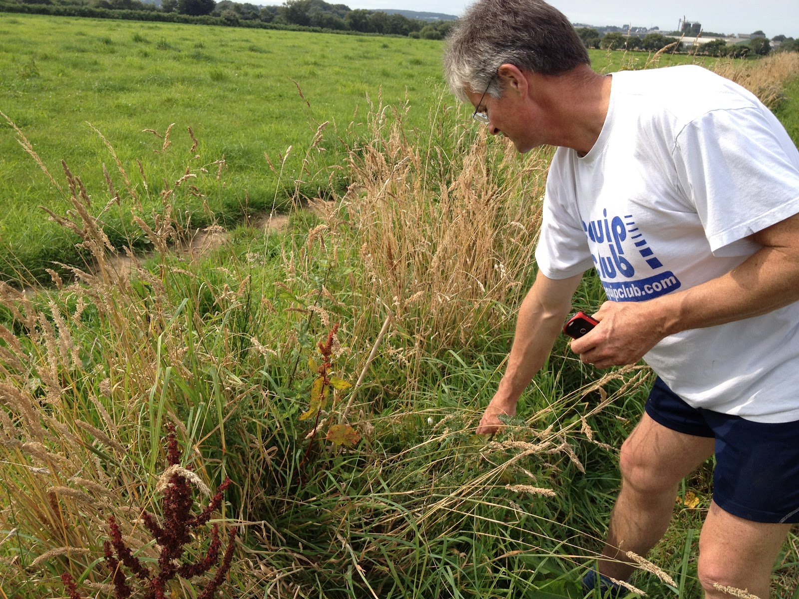 Pasture to Profit: New Zealand Dairy Farms Have So Few Trees. Why?