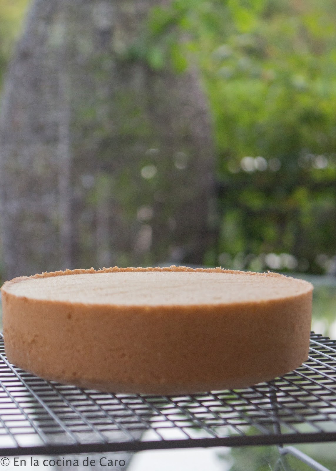 Bizcocho genovés o genoise | En la cocina de Caro