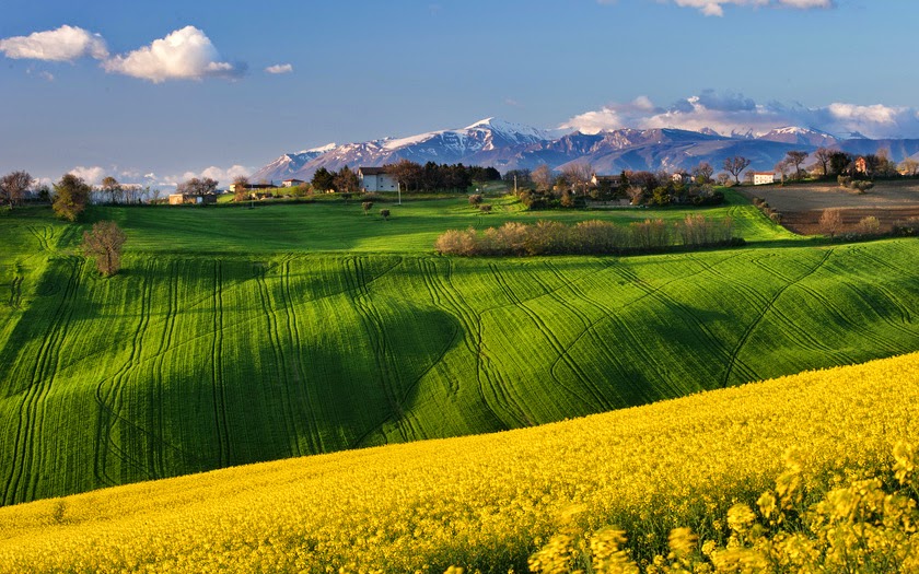 Fotografías hermosas de colinas y bosques - Fotos Bonitas de Amor ...