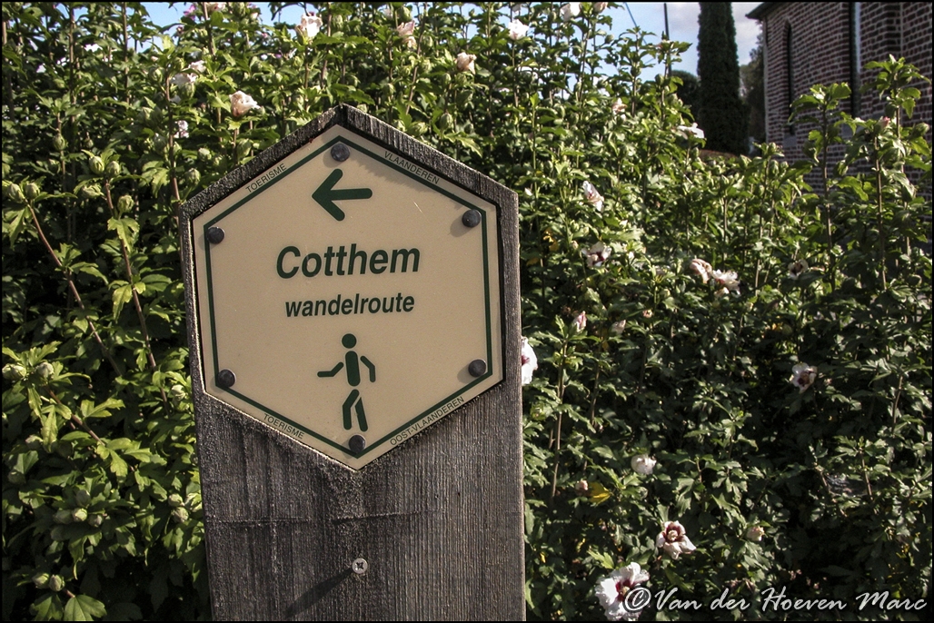 Wandelingen: Cottem Wandelroute