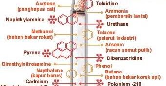 Kandungan Dalam Rokok Dan Zat Berbahaya Dalam Rokok - Atap Ilmu