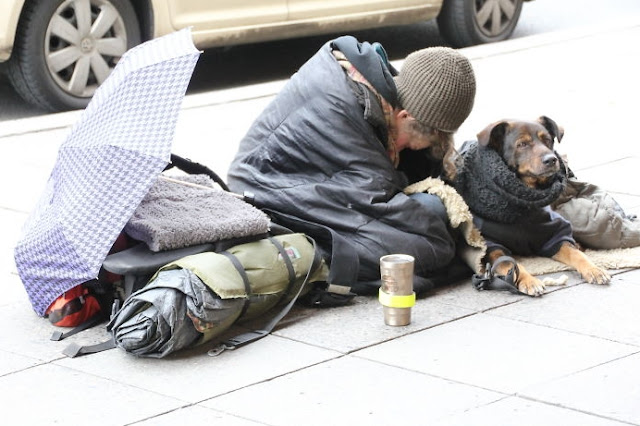 White Wolf : Dog's Love: Beautiful series of pictures showing homeless ...