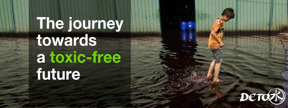 Clinical Essential Oils: Do you live in Toxic-Free Environment? Think ...