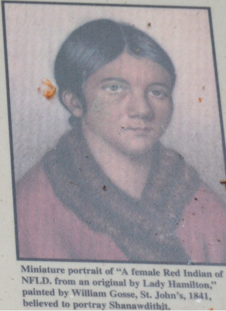 Exploring Newfoundland: 8-The Beothuk—Newfoundland’s Aboriginal People