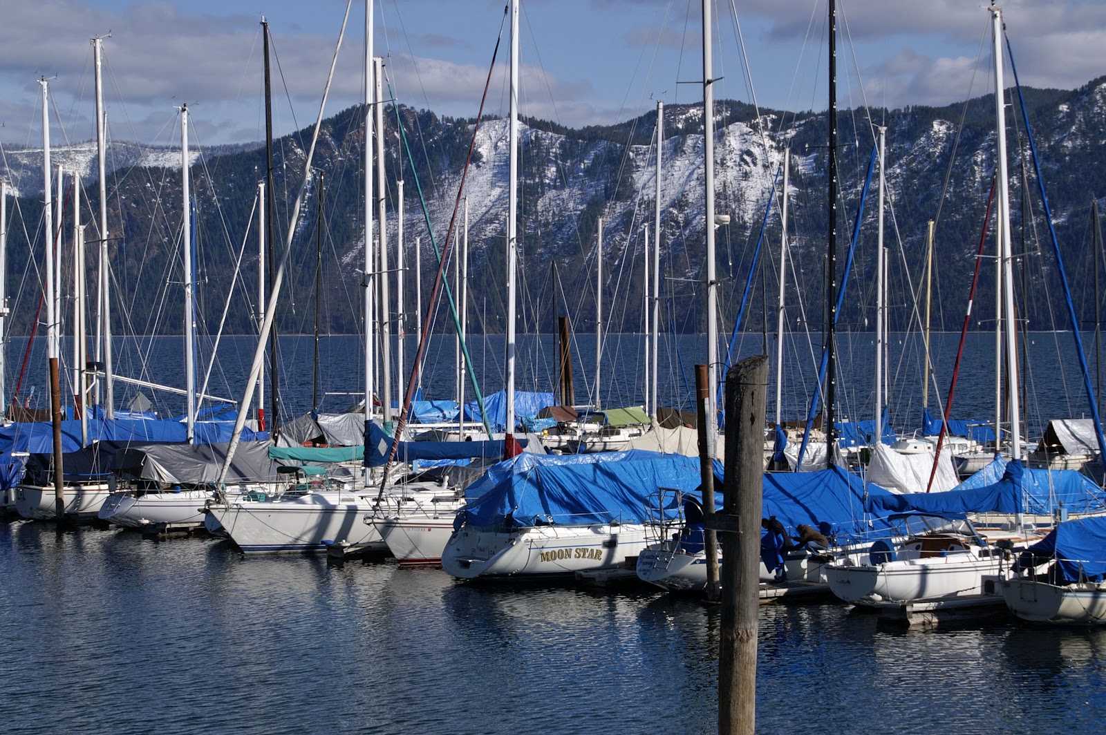 Barnacle Bill Holcomb's Sailing: Prop Walk and other Mysteries