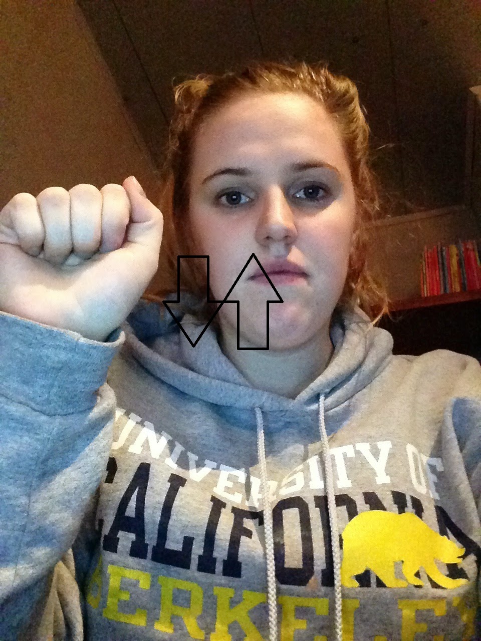 My Understanding of Auslan: Yes & No