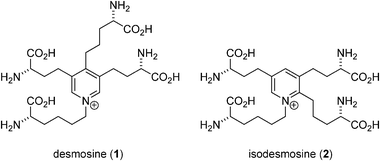 World of Biochemistry (blog about biochemistry): Standard and non ...