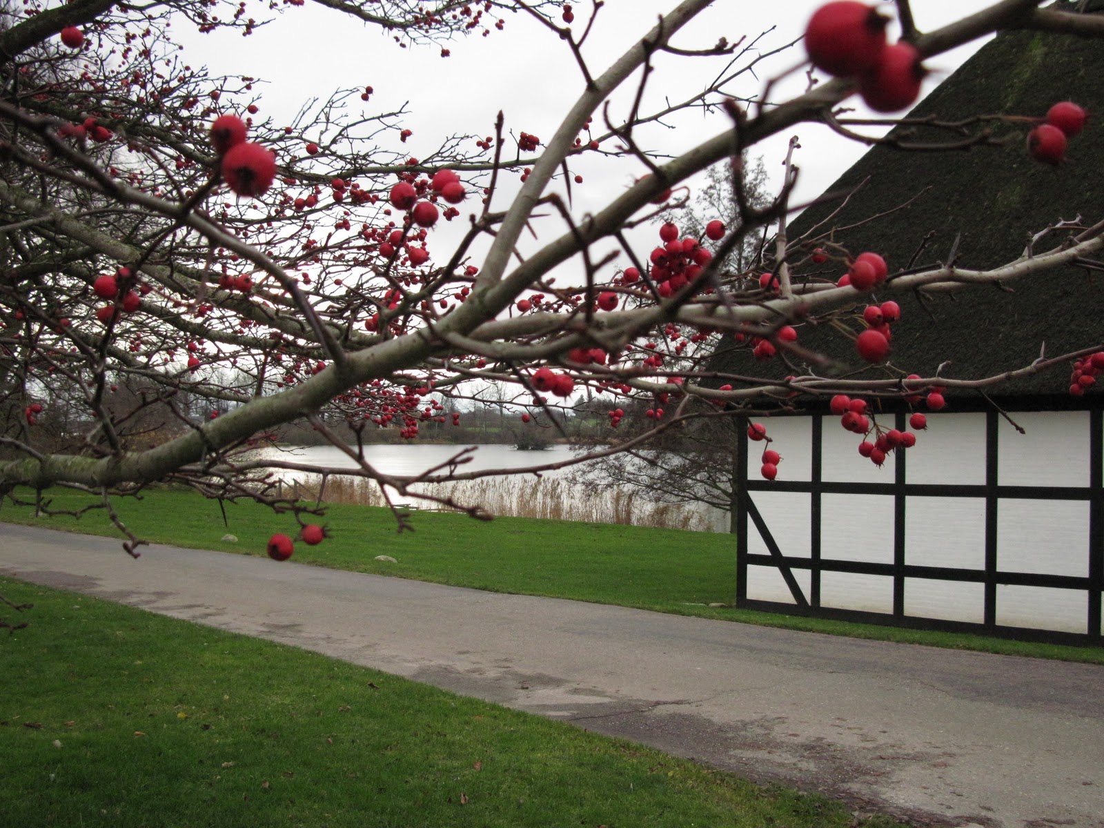 An American Woman in Denmark: Sandbjerg Estate