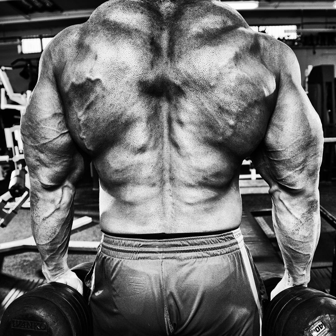 MUSCLE WORSHIP COM: Laurie Carr UK Tall Bodybuilder