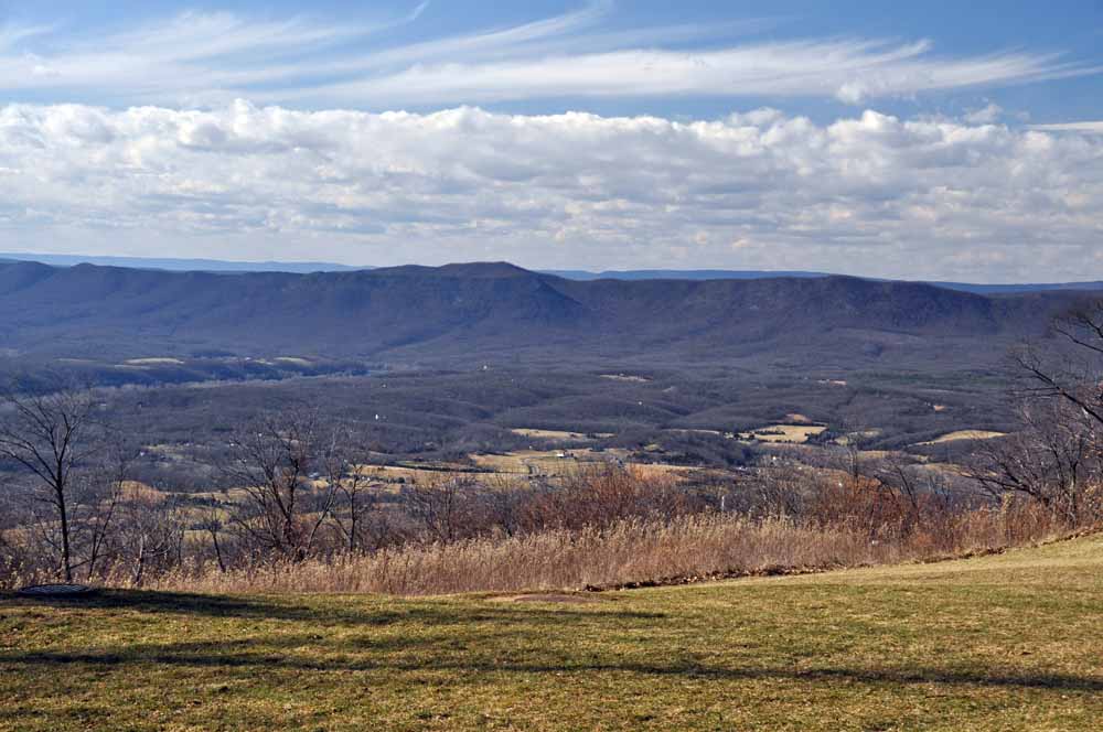 Dickey Ridge Trail in Shenandoah National Park: Flowers in January?
