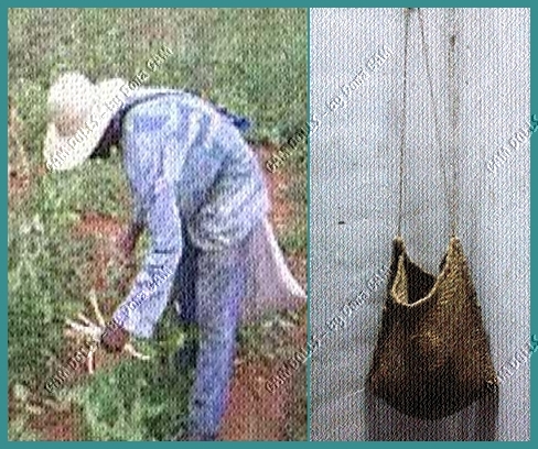 GAM DOLLS (2): MEU NOVO EMBORNAL: QUE LEGAL!