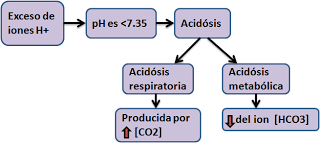 Ciencias en el CIC: ACIDOSIS Y ALCALOSIS