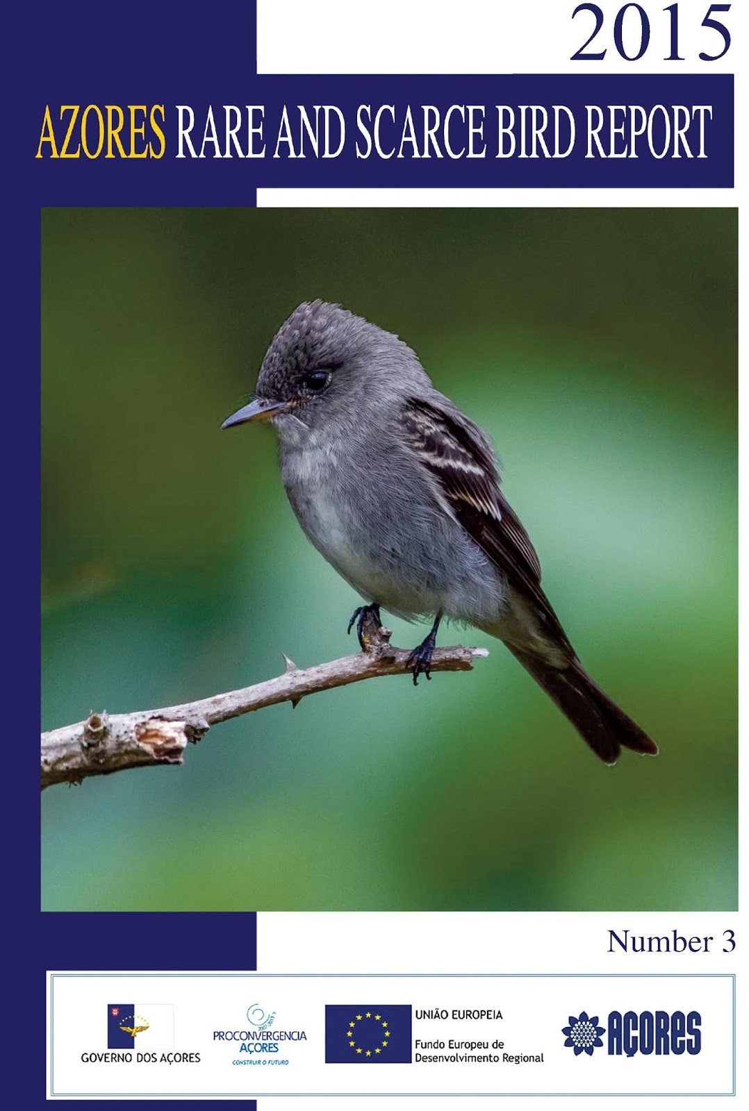 Non-Stop Birding: Azores Rare and Scarce Bird Report 2015