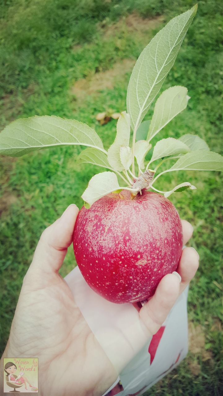Woven by Words: 20 Must Try Apple Recipes