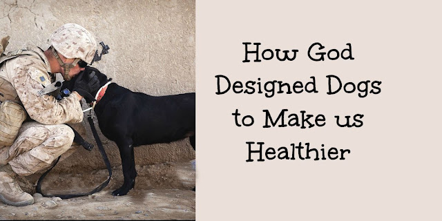 Bible Love Notes: Dogs Tell Us Something About Our God