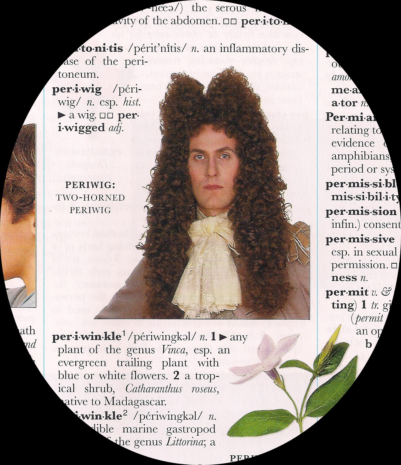 Deep Thoughts of a Common Household Mom: The meaning of words