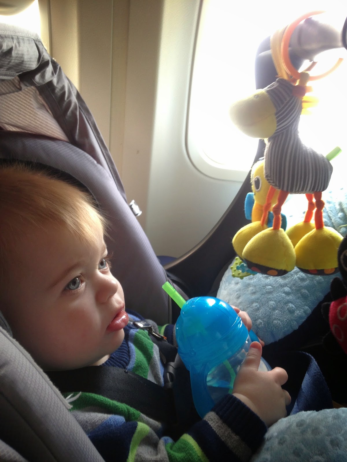 Gelie Beans and Sparkly Things: Have Baby Will Travel.