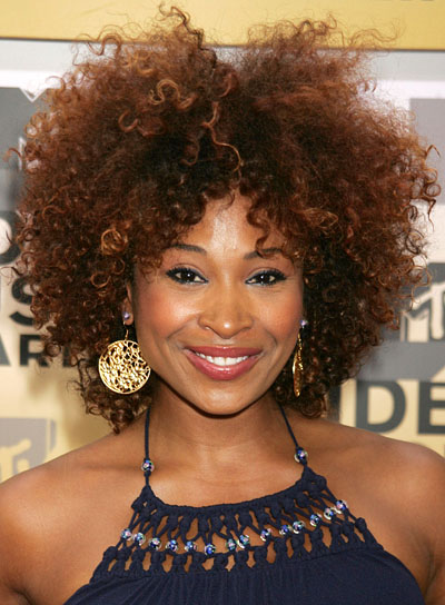 Fashion Hairstyles: Afro Hair styles