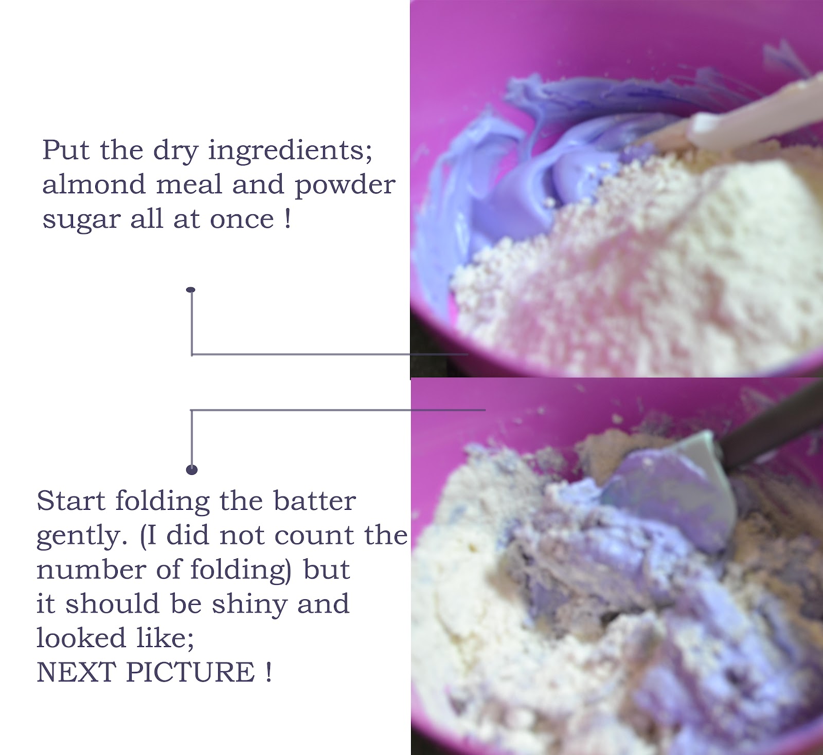 Parts Of A Macaron at Johnny Moe blog