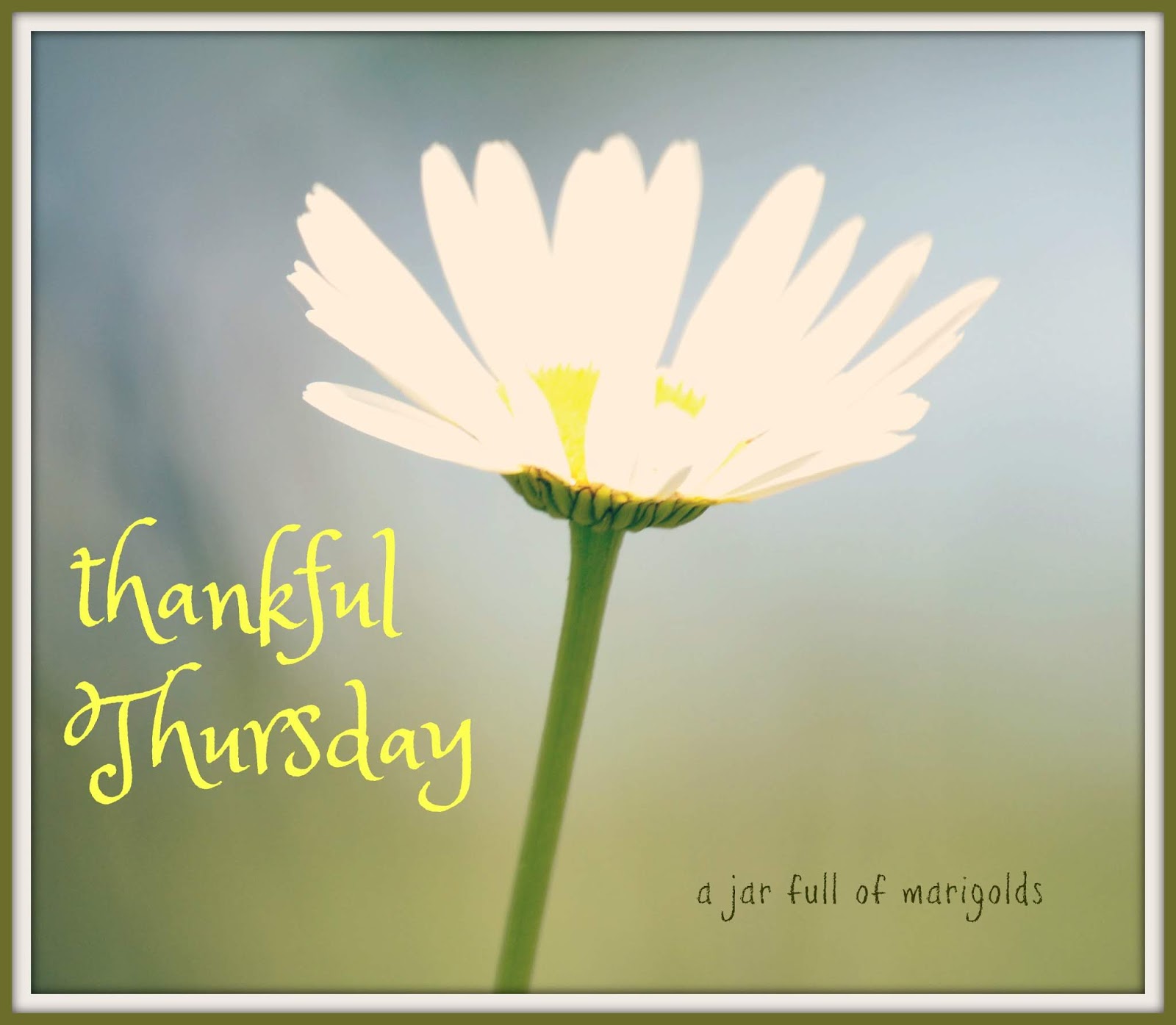 Thankful Thursday