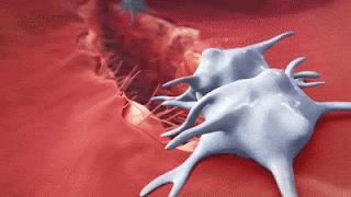 BLOOD, THE STREAM OF LIFE :)