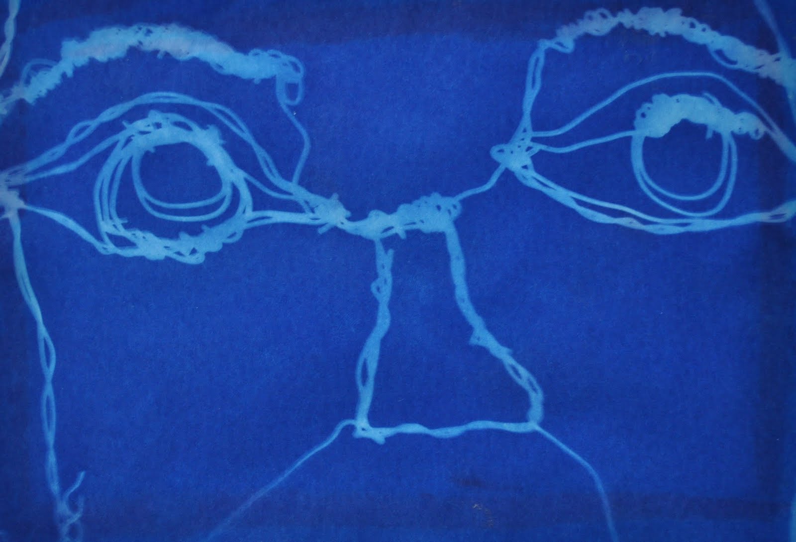 I teach art: Light Sensitive Paper with Wire Portraits (Nature Print Paper)