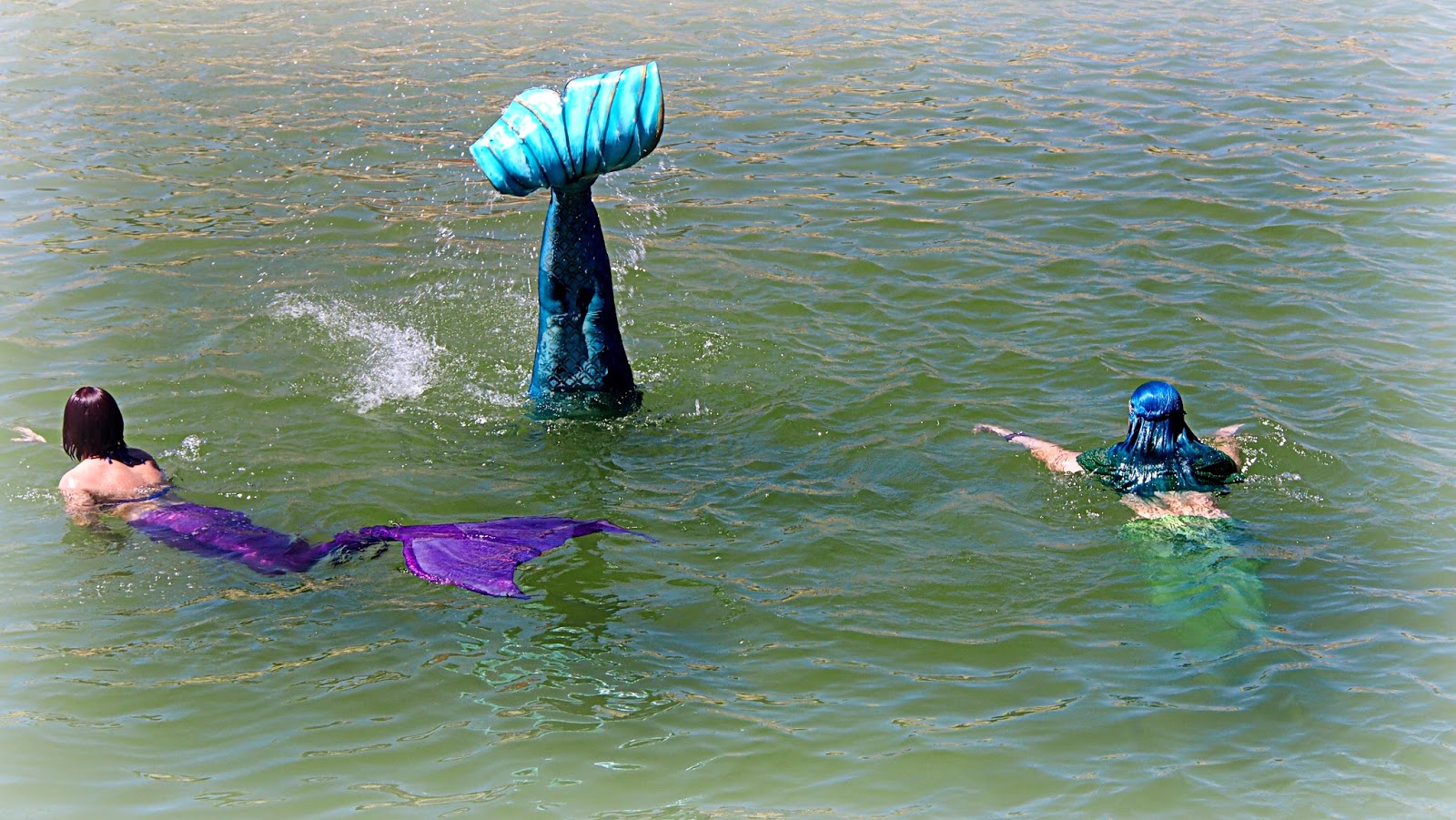 Perth Daily Photo : The lure of the mermaid....