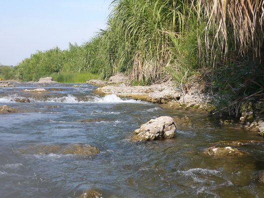 Del Valle Para Todos: 5 sept 2011