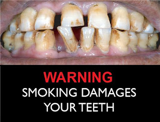 Melrose Family Dentistry | Melrose MA Dentist: 2012: A Great Year to ...