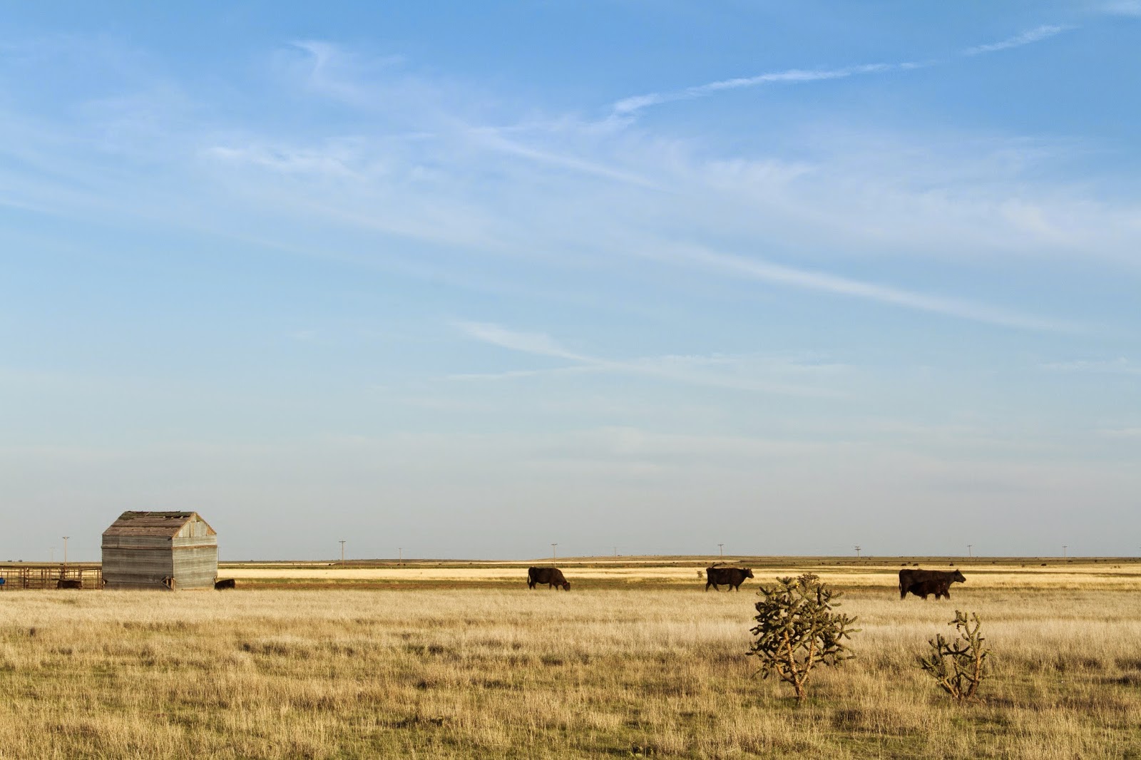 Corrales Chronicles: The Texas Panhandle, Part 1: Wide Open Spaces