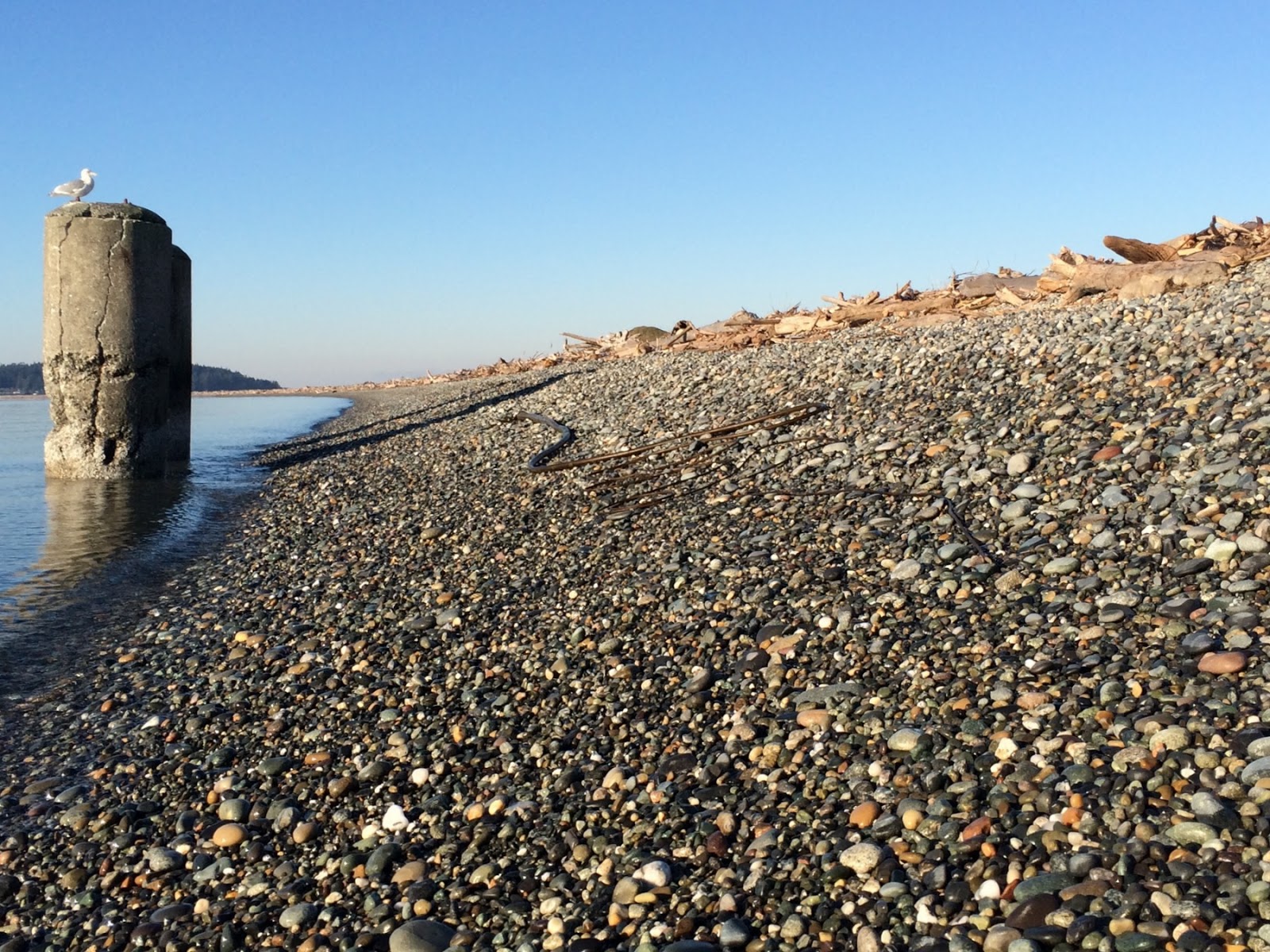 Gravel Beach: Keystone Spit