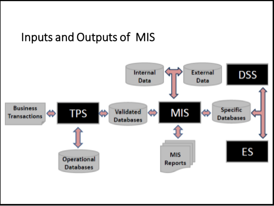 Different types of Business Information Systems Management Information ...