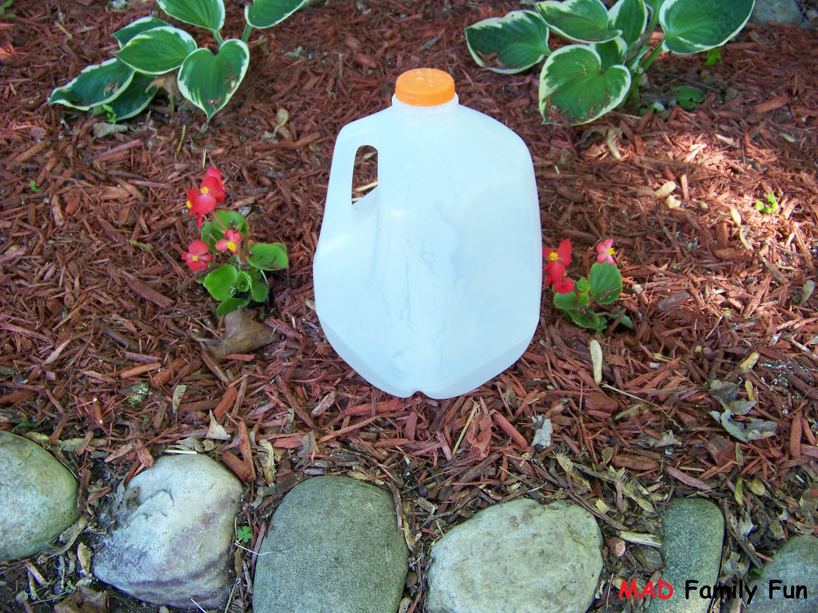 MAD Family Fun: DIY Recycled Water Can