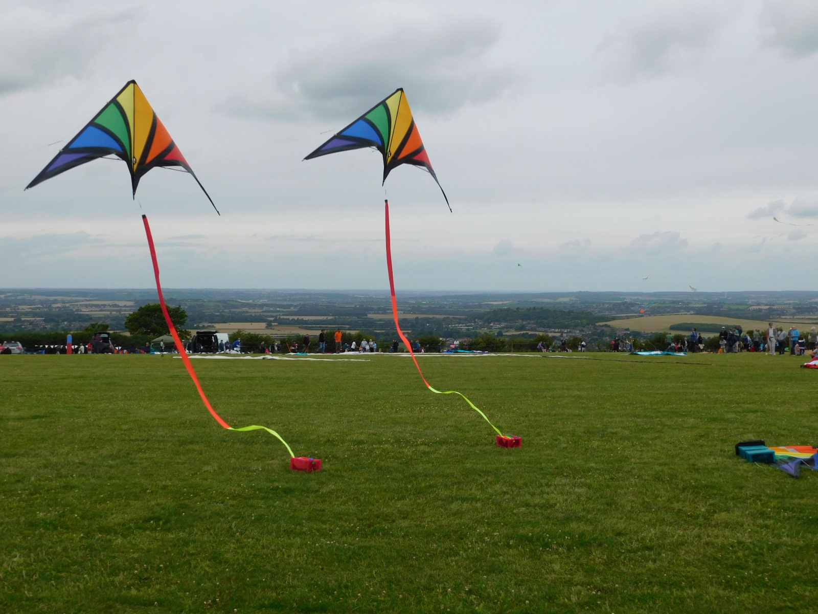 Flying Fish Kiting Team: Dunstable Kite Festival