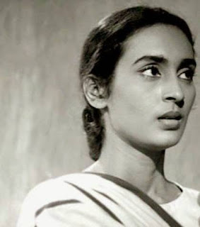 CHINAR SHADE : October 2015