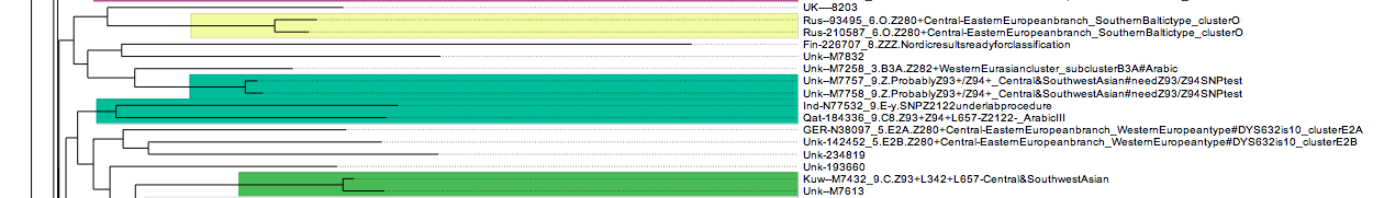 KurdishDNA: R1a1a STR111 tree