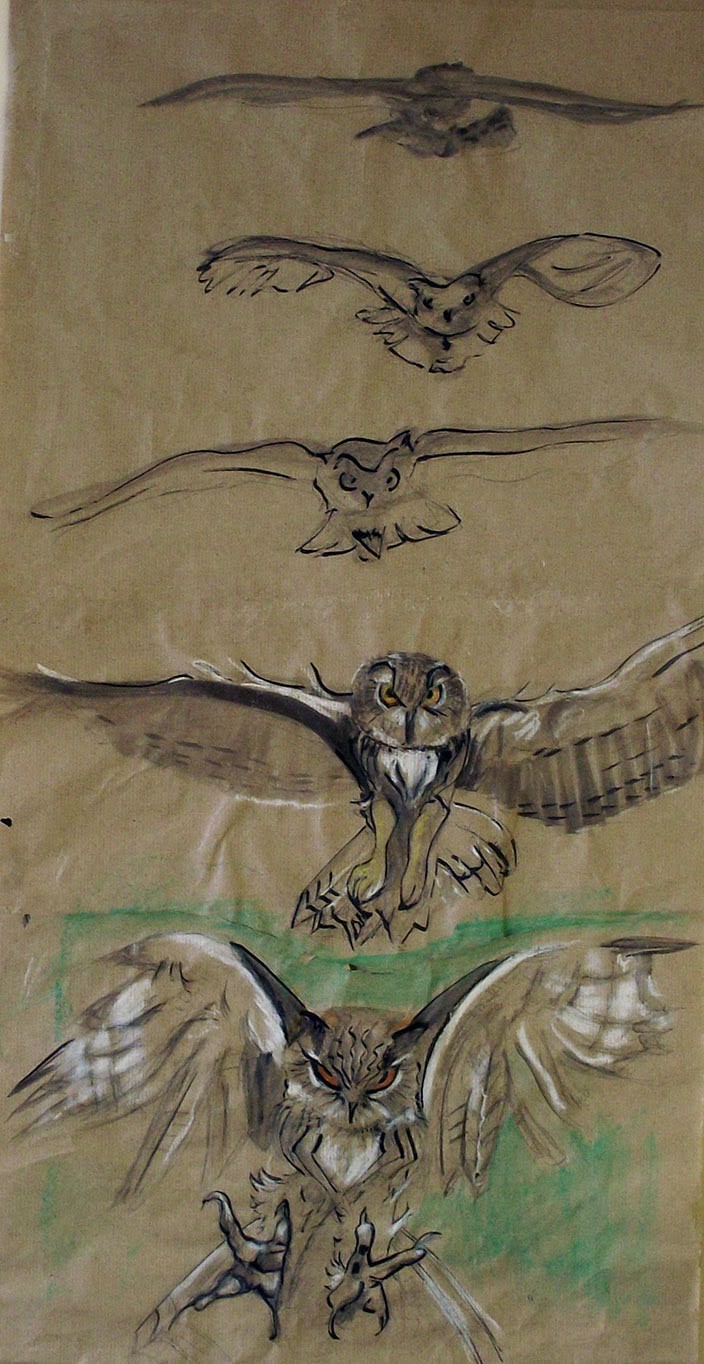 CALARTs - Shaney's Character Animation Blog: Observational (Animals)