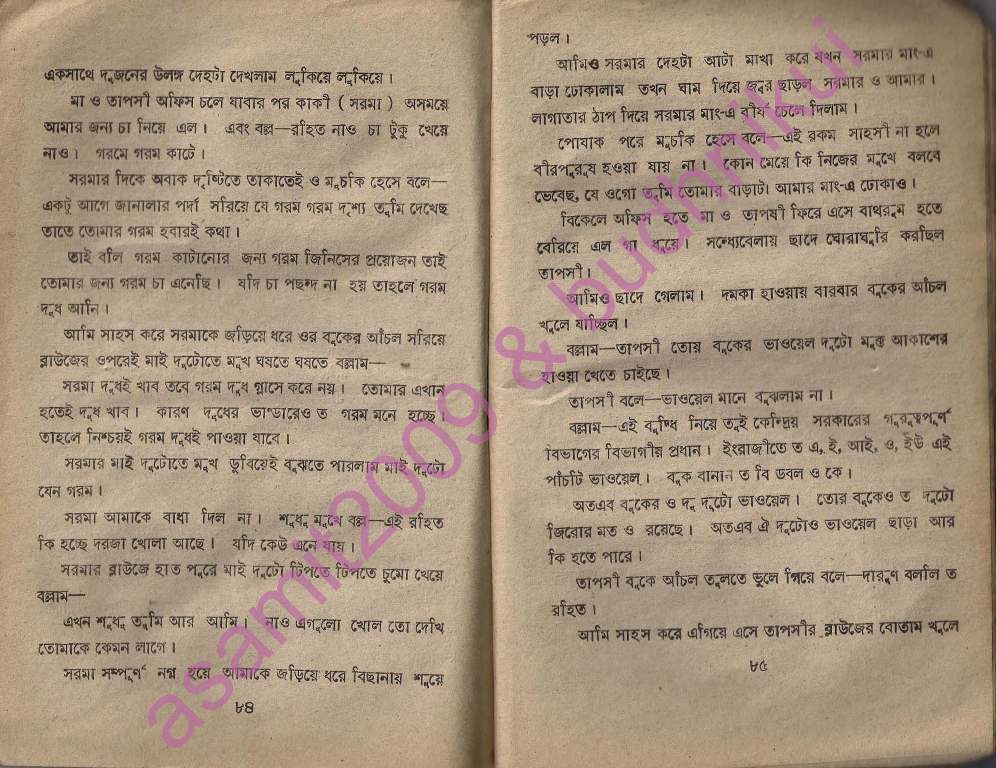 Bangla Choti: ঘুমন্ত সিংহ..