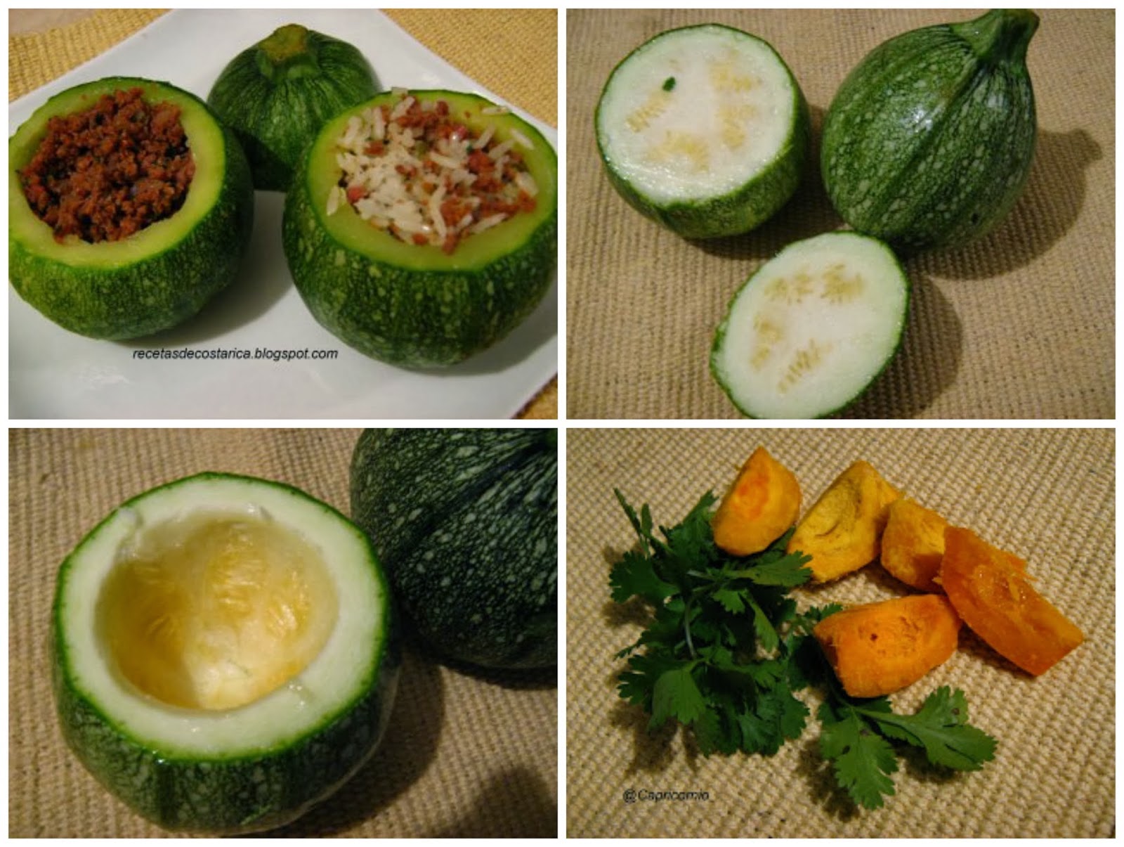 Cocina Costarricense: abril 2009