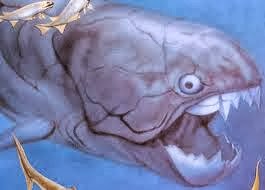 Artes de Pesca: VAMOS A PESCAR DINICHTHYS