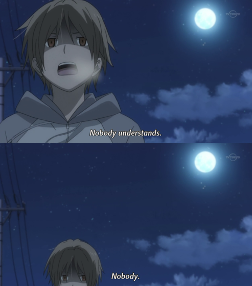 Nobody Understands Meme