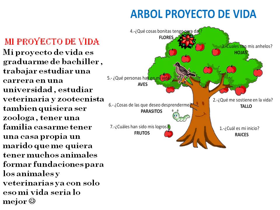 Mi proyecto de vida : Mi proyecto de vida