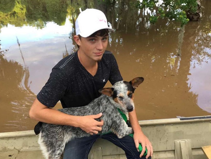 White Wolf : Dad And Son Rescued 40 Dogs Left Behind During The Flood