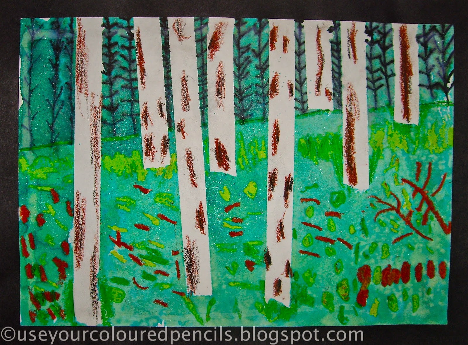 Use Your Coloured Pencils: Karri Forests