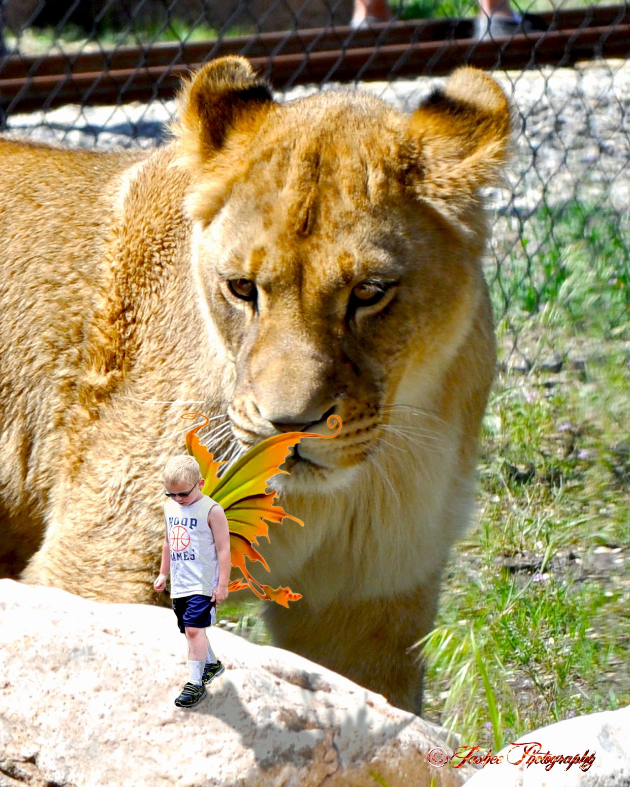 Tashee Photography: Fairy FANTASY