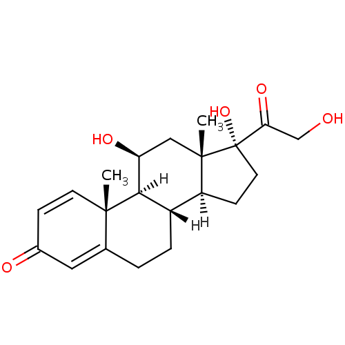 Pharmacology Of Prednisolone